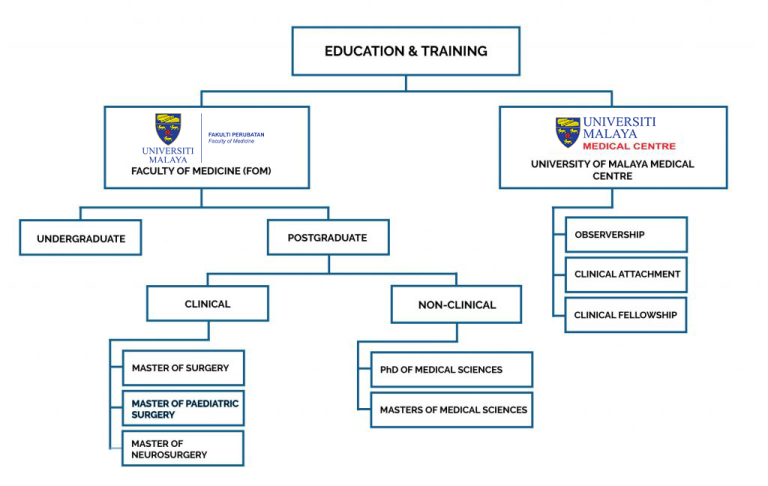 Education & Training – Department of Surgery